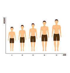Height and age measurement growth from girl to Vector Image