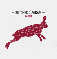Rabbit cuts diagram for butcher shop Royalty Free Vector