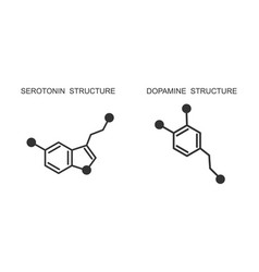 Serotonin simple Royalty Free Vector Image - VectorStock