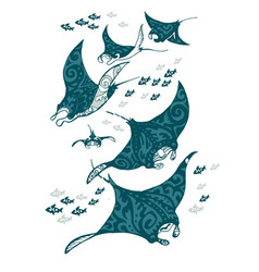 Manta ray and fish Royalty Free Vector Image - VectorStock