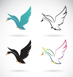 Swan design Royalty Free Vector Image - VectorStock