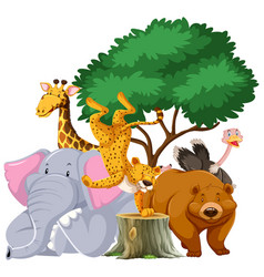 Bear under the tree Royalty Free Vector Image - VectorStock