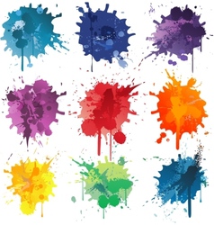 Paint splatter Royalty Free Vector Image - VectorStock