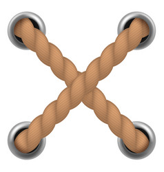 Set looped ropes with metal holes rope threads Vector Image