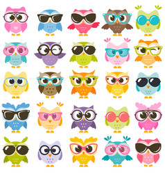 Set of cute colorful owls isolated on white Vector Image