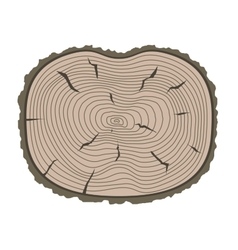 Tree slices set Royalty Free Vector Image - VectorStock