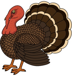Turkey cartoon Royalty Free Vector Image - VectorStock