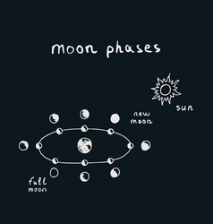 Hand drawn moon phases scheme sketch lunar phases Vector Image