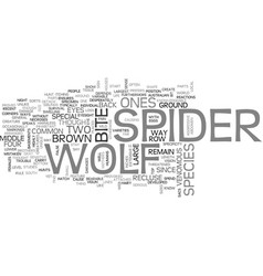 Wolf parkinson white syndrome text word cloud Vector Image
