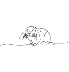 Lop Eared Bunny Vector Images (34)