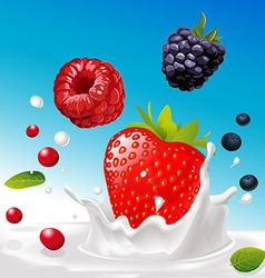 Big collection icons of fruit in a milk splash Vector Image