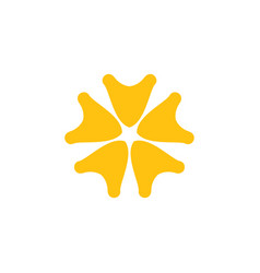 Plumeria flower graphic design template Royalty Free Vector