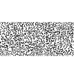 Leopard pattern design Royalty Free Vector Image