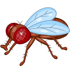 Angry mosquito cartoon Royalty Free Vector Image