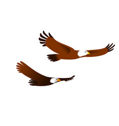 Eagles Vector Images (over 41,000)