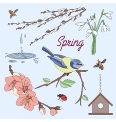 Beautiful collection of floral elements Royalty Free Vector