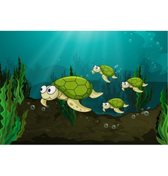 Cartoon turtle underwater with beautiful coral Vector Image