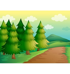 Forest path Royalty Free Vector Image - VectorStock
