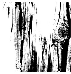 Tree texture tree background tree effect Vector Image