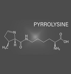 Pyrrolysine amino acid molecule skeletal formula Vector Image