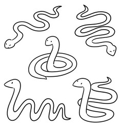 Snake collection set Royalty Free Vector Image