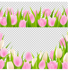 Tulip flower spring border eps 10 Royalty Free Vector Image