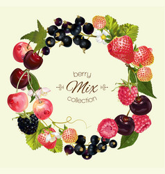Berry mix falling banner Royalty Free Vector Image