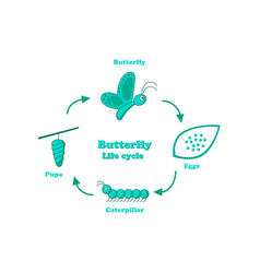 Life cycle a frog for coloring art Royalty Free Vector Image