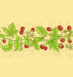 Raspberry frame Royalty Free Vector Image - VectorStock