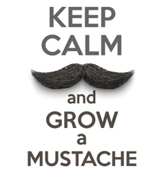 Realistic black vintage curly mustache Royalty Free Vector