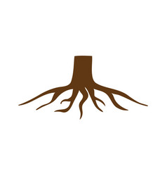 Root graphic design template isolated Royalty Free Vector