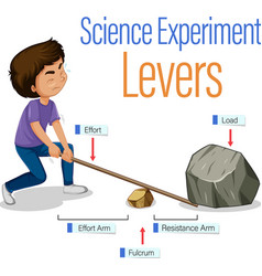 Levers simple machine science experiment Vector Image