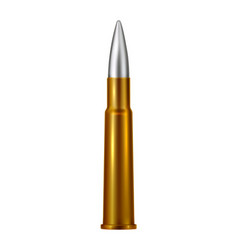 Realistic bullet Royalty Free Vector Image - VectorStock