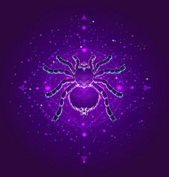 With hand drawn spider and sacred geometric Vector Image