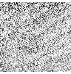 Leather overlay texture Royalty Free Vector Image