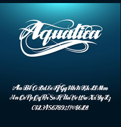 Handwritten brush style calligraphy cursive font Vector Image