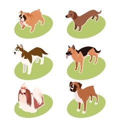 Dog Isometric Vector Images (over 9,700)