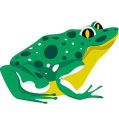 Life cycle a frog for coloring art Royalty Free Vector Image