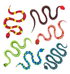 Set of two mesh pythons one evil another sick Vector Image