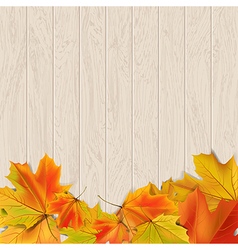 Wooden frame with autumn leaves rowan and maple Vector Image