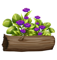 Hand holding colorful flowers on white background Vector Image