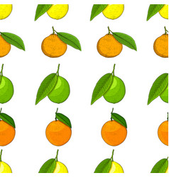 Fresh colorful citrus fruits seamless pattern Vector Image