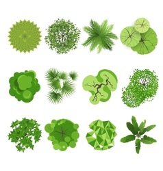 Palm trees Royalty Free Vector Image - VectorStock