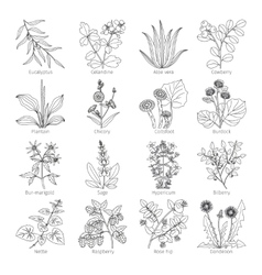 Plants Vector Images (over 1.5 million)