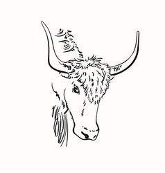 Yak head doodle with black nose Royalty Free Vector Image