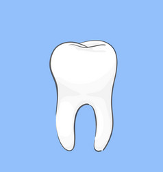 Tooth cartoon Royalty Free Vector Image - VectorStock