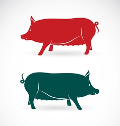 Abstract pig Royalty Free Vector Image - VectorStock