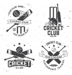 Cricket helmet with ball from a splash of Vector Image