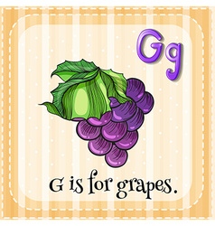 Fruit alphabet Royalty Free Vector Image - VectorStock