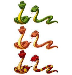 Snake collection set Royalty Free Vector Image